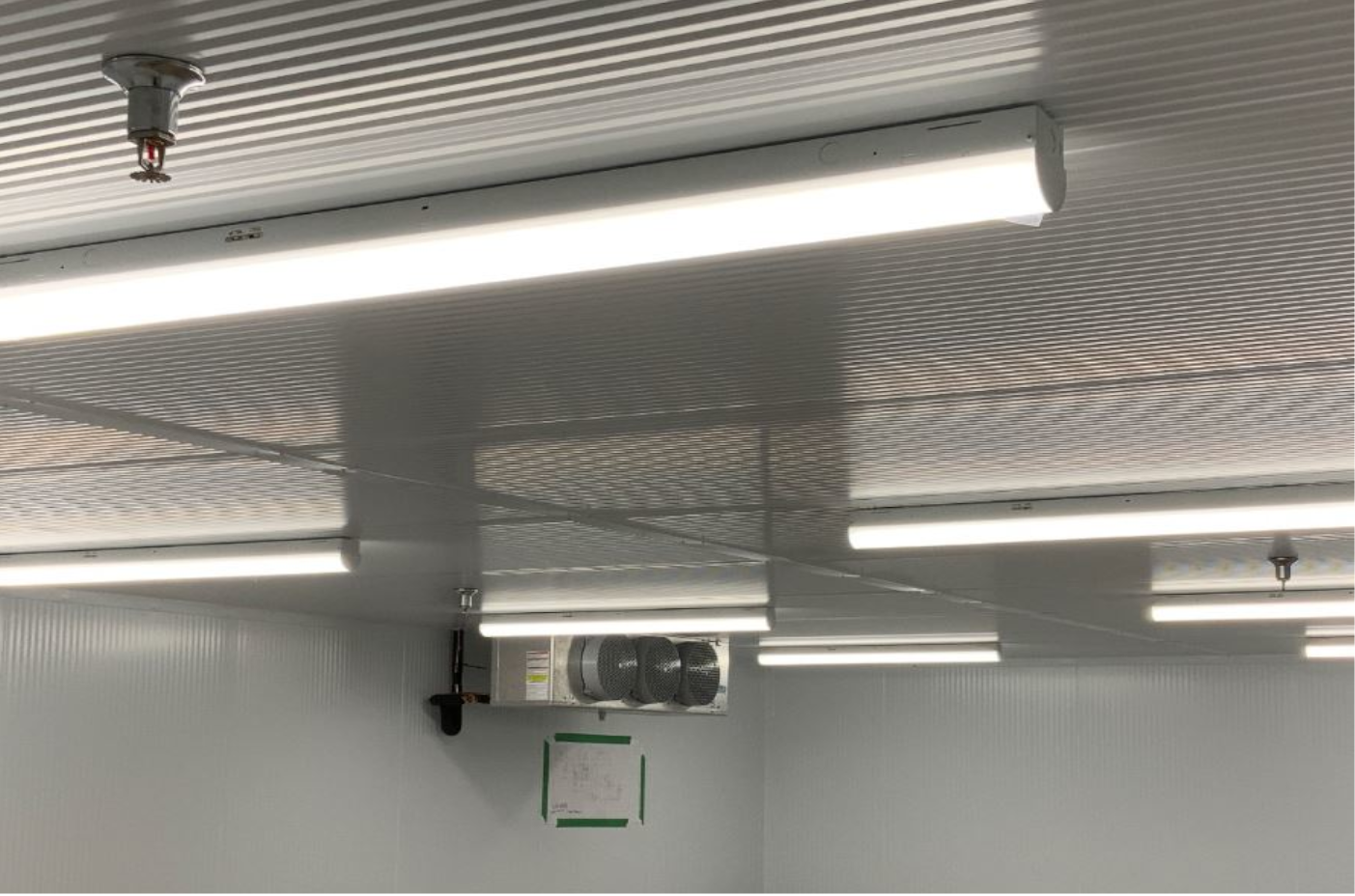 FIRE PROTECTION (photo) - Securitech